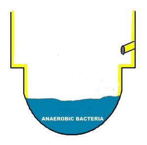 Technology - Conshield