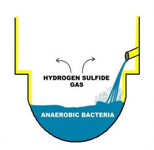 Technology - Conshield