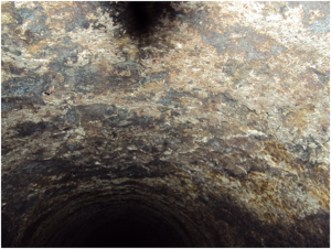 Various Biological Activities In The Sewer – Mic And How It Works ...